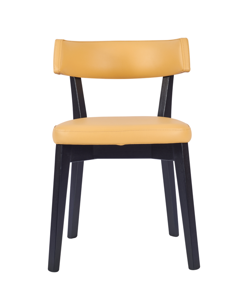 Christa Side Chair - Furniture North East